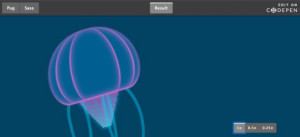 Pure CSS Jellyfish